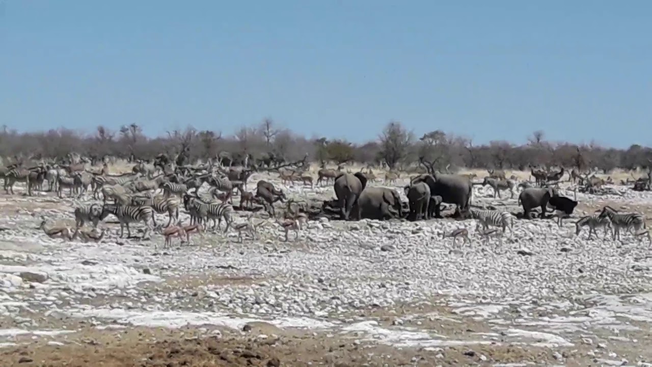 NAMIBIA - YouTube