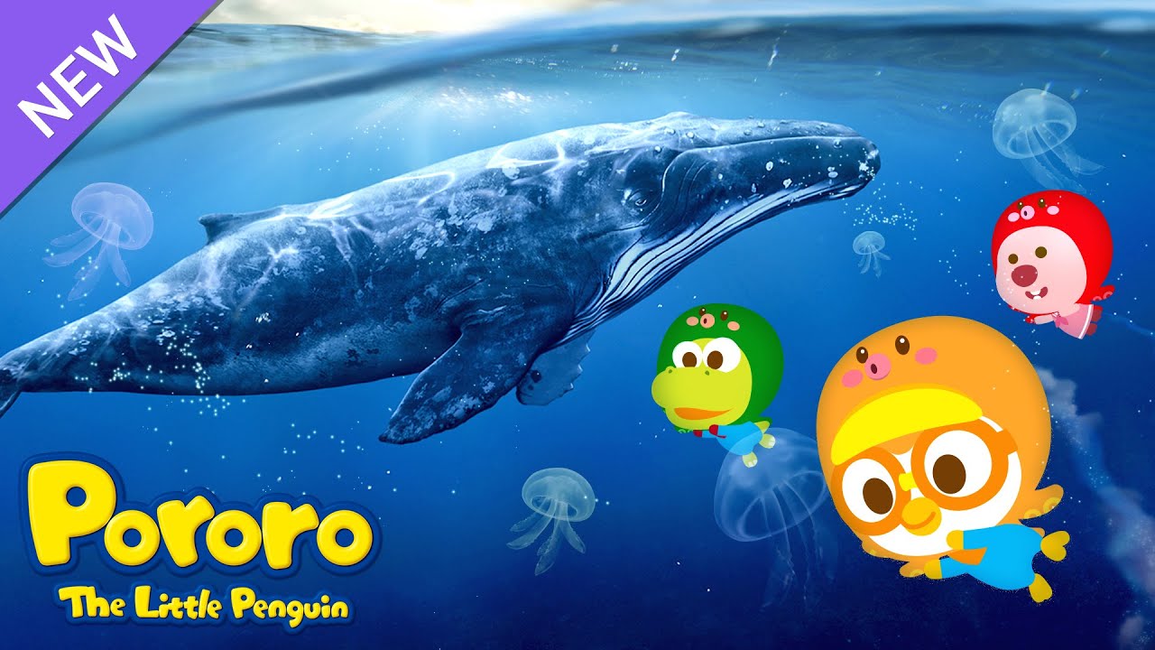 ★Full★ Pororo Sea Animal Song [4K] | Meet Sea Animal Friends in Real ...