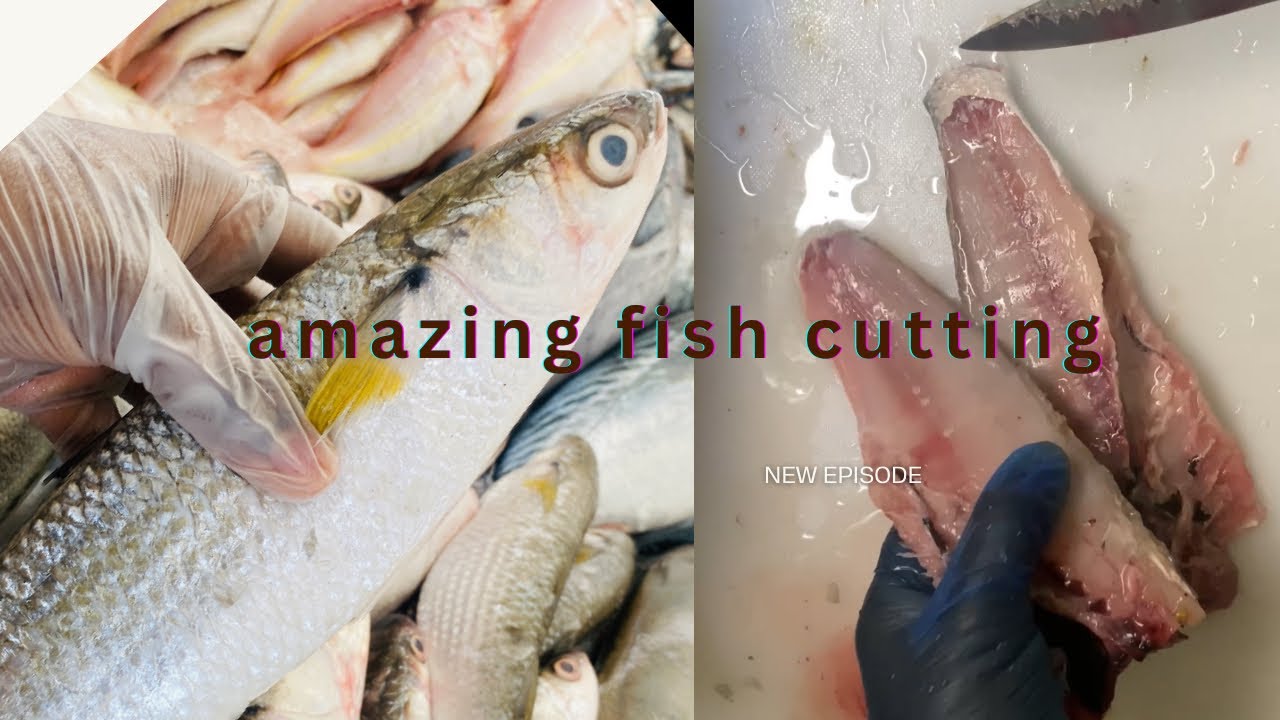 Fish cutting video#fishcutting_skills #amazingfishcutting #viralvideo ...