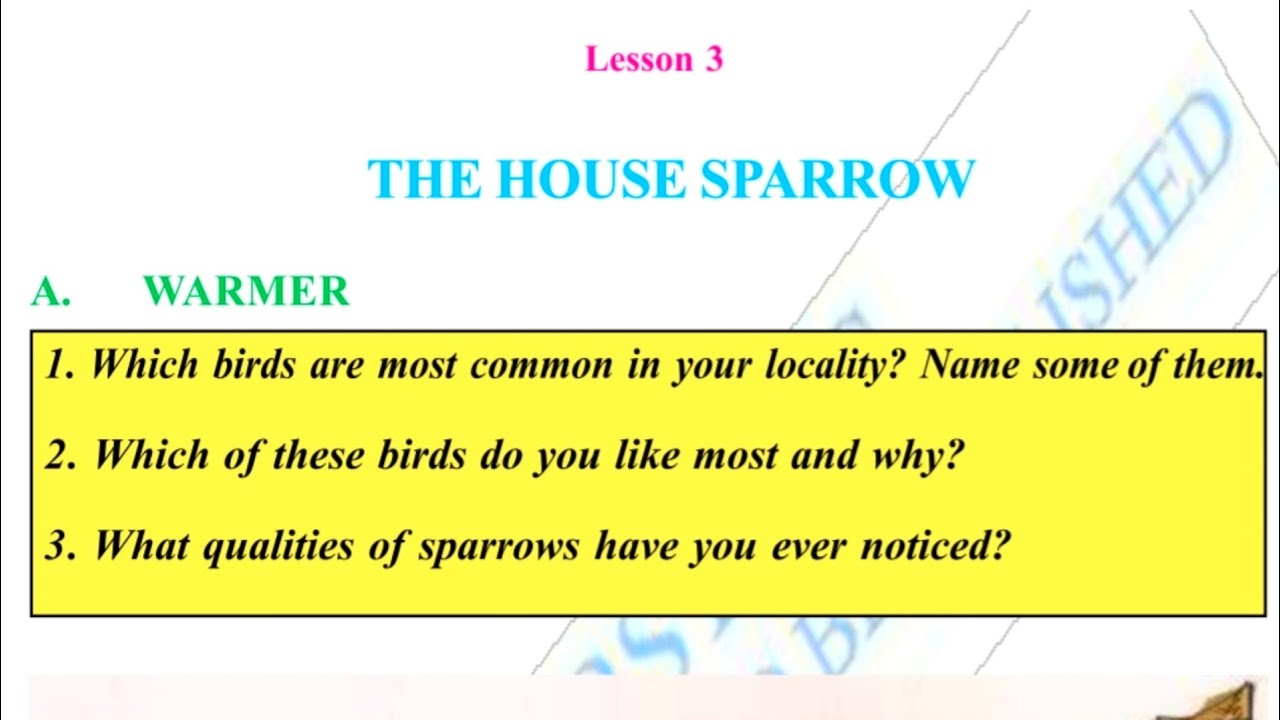 blossom class 5 chapter 3 question answer | class 5 english chapter 3 ...