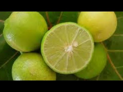 Metha fruits benefits Sehat ka khazana har kasam ke bemare se protect ...