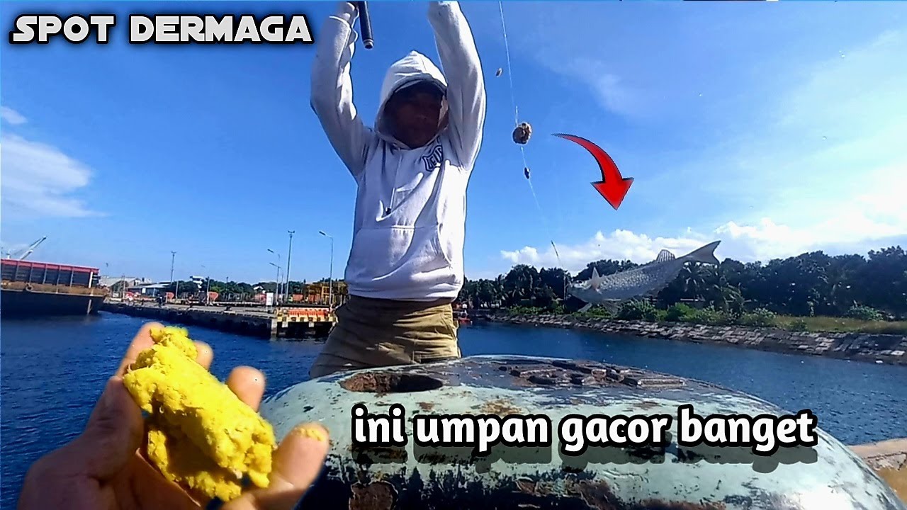 Sekali strek bisa terus terusan | mancing ikan sadar bikin nagih - YouTube