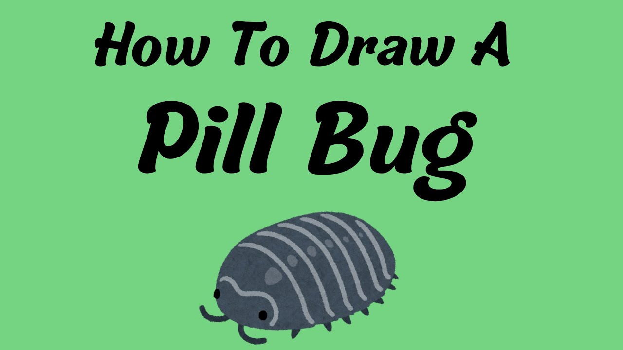 How To Draw A Pill Bug - YouTube