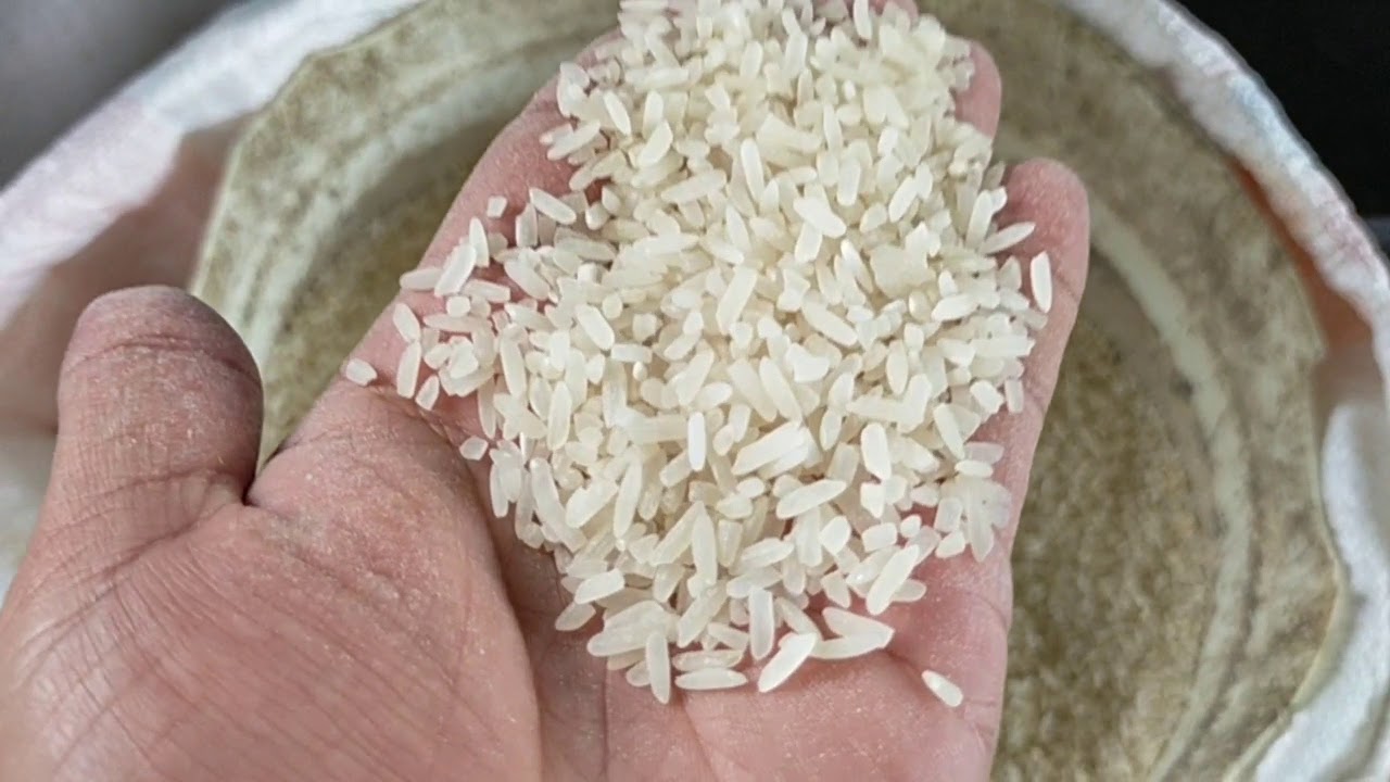 GILINGAN NG PALAY|RICE MILL| RICE MILL IN THE PHILIPPINES|ACTUAL NA ...