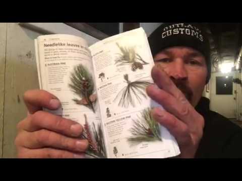 TREE IDENTIFICATION BOOKS - YouTube