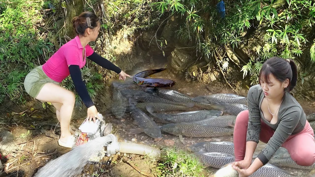 Traditional Fishing with Nets, Catch Giant Fish, Drain Water from the ...