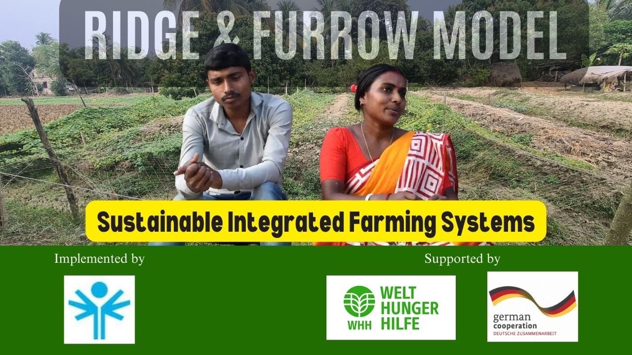 Ridge & Furrows - YouTube