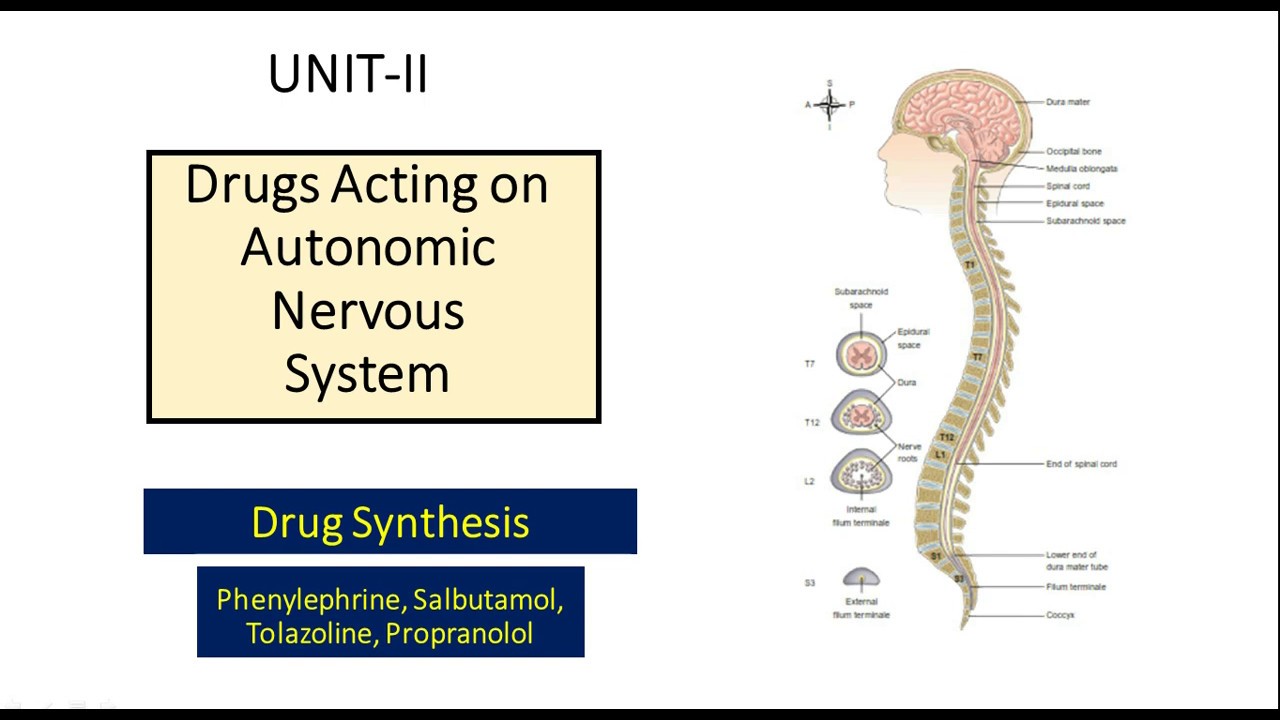 14 ANS Drugs Synthesis of salbutamol, propranolol, tolazoline and ...