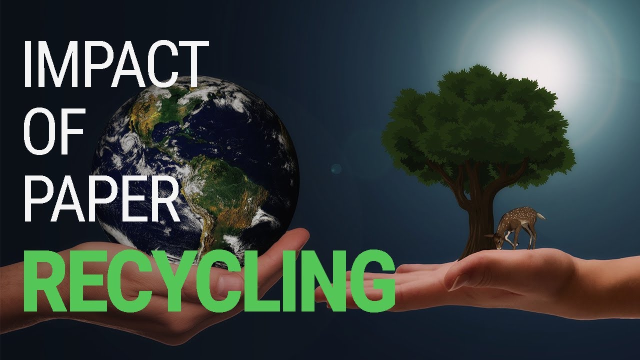 The impact of paper recycling - YouTube