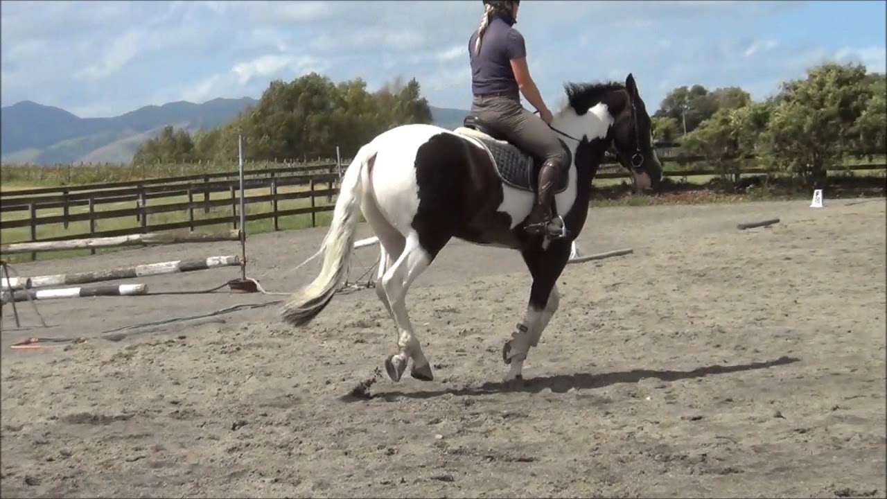 Dot some flatwork - YouTube