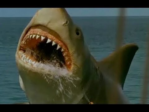 Jaws 4 Shark Death - YouTube