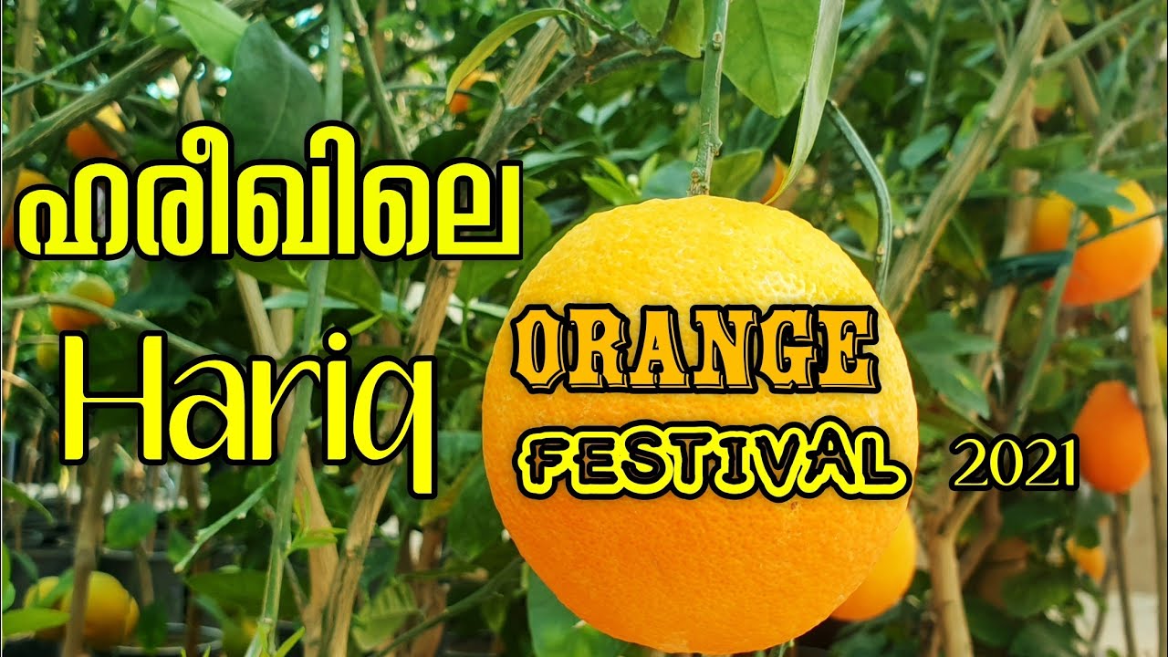 Hariq Orange Festival 2021|orange fam|Saudi Arabia |Riyadh|Al Hariq ...