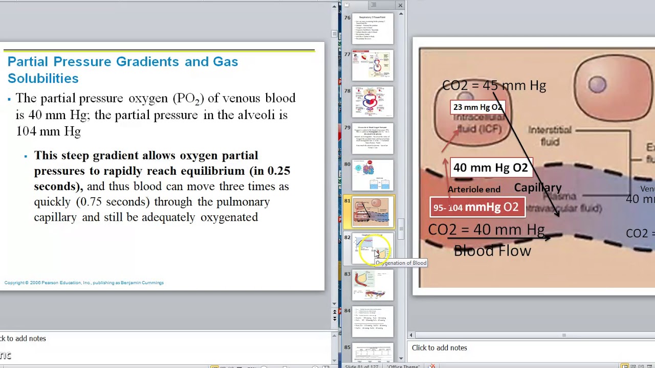 Respiratory Video 15 Blood Oxygen A - YouTube