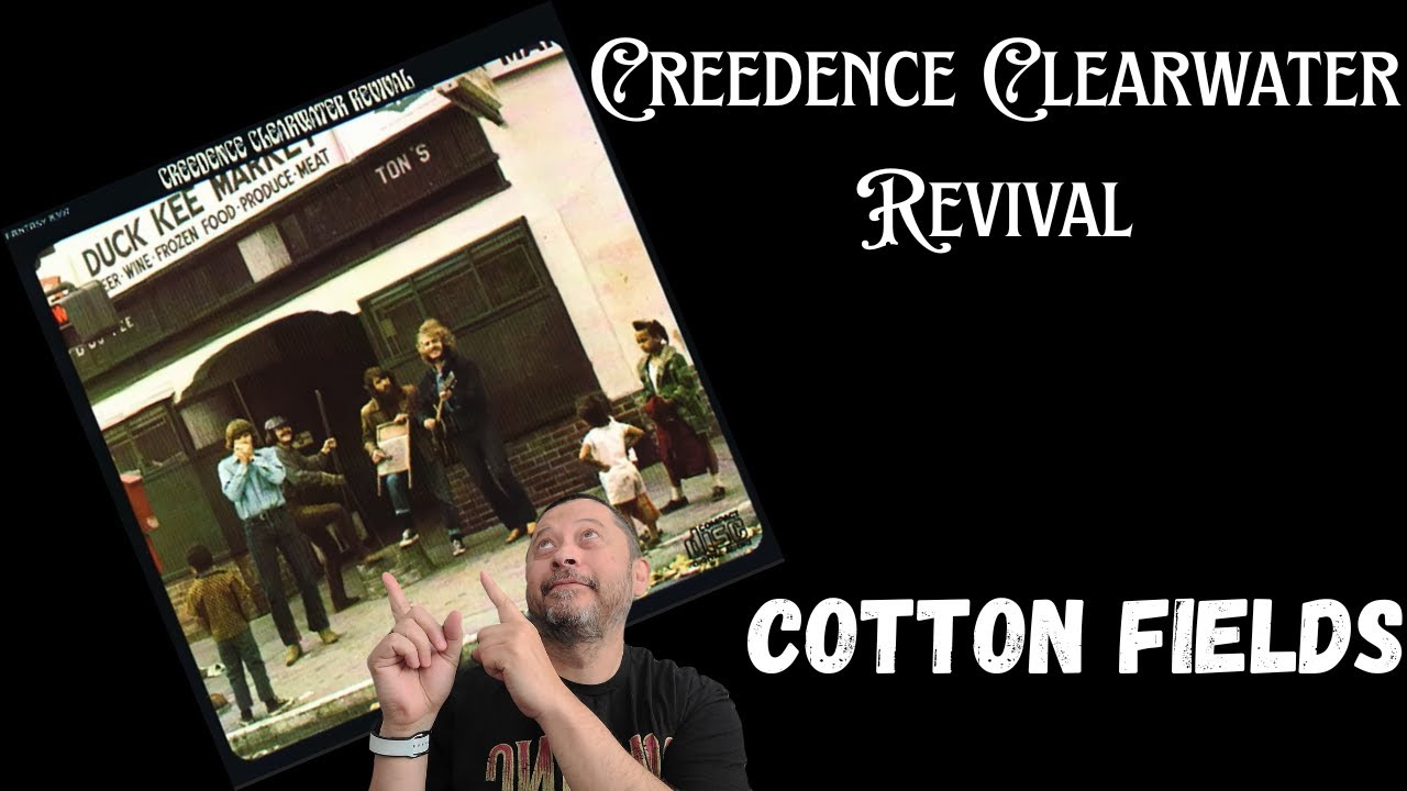 First Time Reaction Video - Creedence Clearwater Revival - Cotton ...