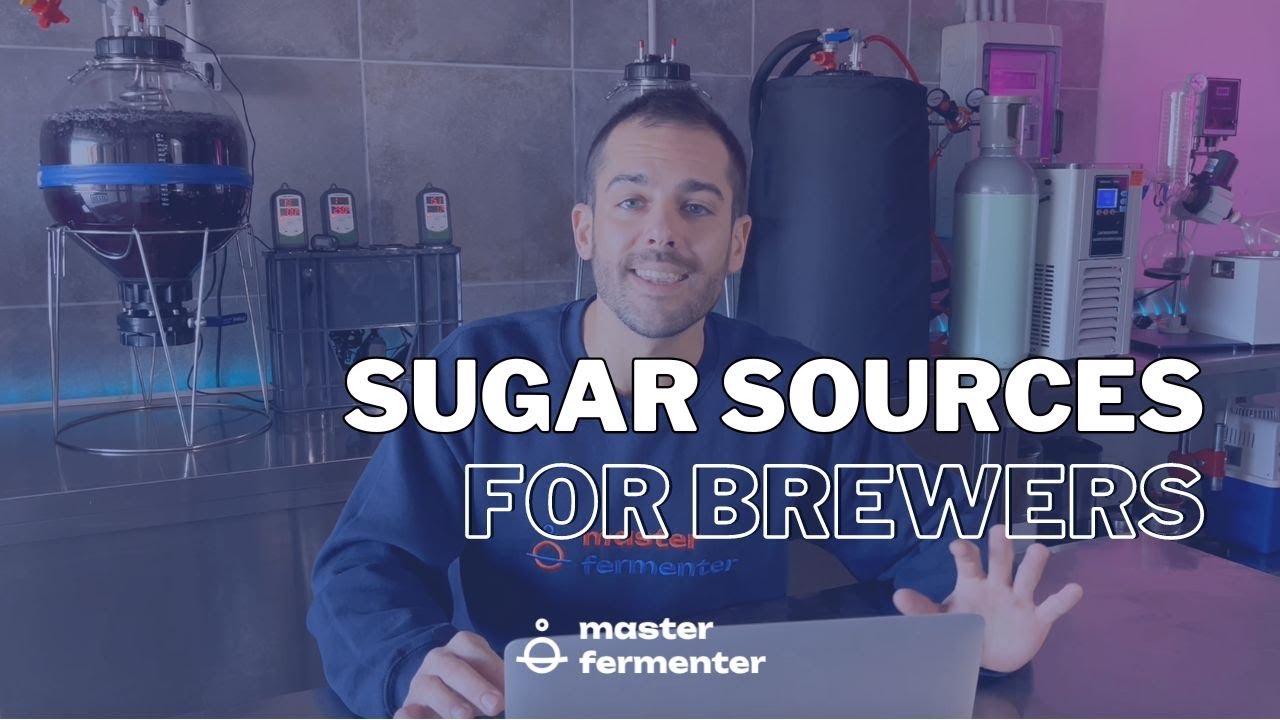 Sugars Sources for Brewers: How Different Types Impact Your Brew 🍯🍾 ...