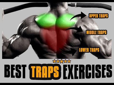BEST TRAPS EXERCISES FOR STRENGTH AND SIZE - YouTube