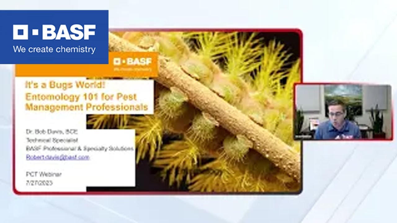 Entomology 101 for Pest Professionals - It's a bug's world! - YouTube