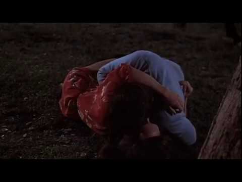 Burt Reynolds and Sally Field in Hooper (1978)