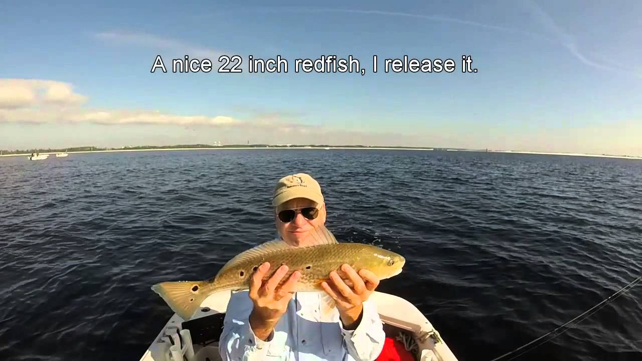 More Slot Redfish in Pensacola Pass - 11/11/15 - YouTube