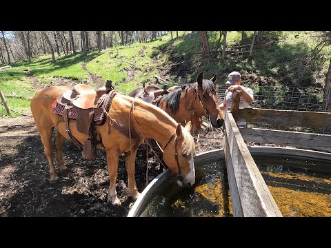 Day in the Life of an American Rancher - YouTube