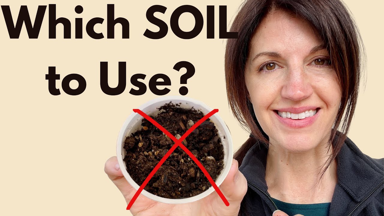 What SOIL to Use? - ALL You Need to Know about SOILs & SOILLESS Options - YouTube
