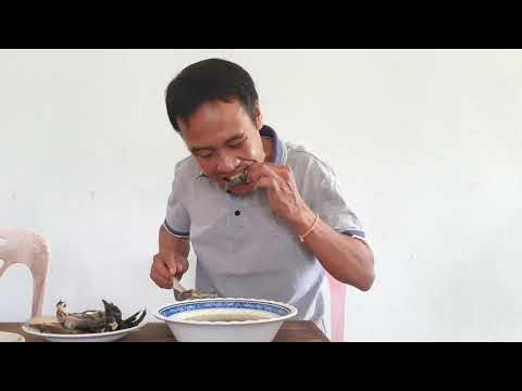 Kuv zeeg noj qaib tsaws tshuaj zoo sav duav - YouTube