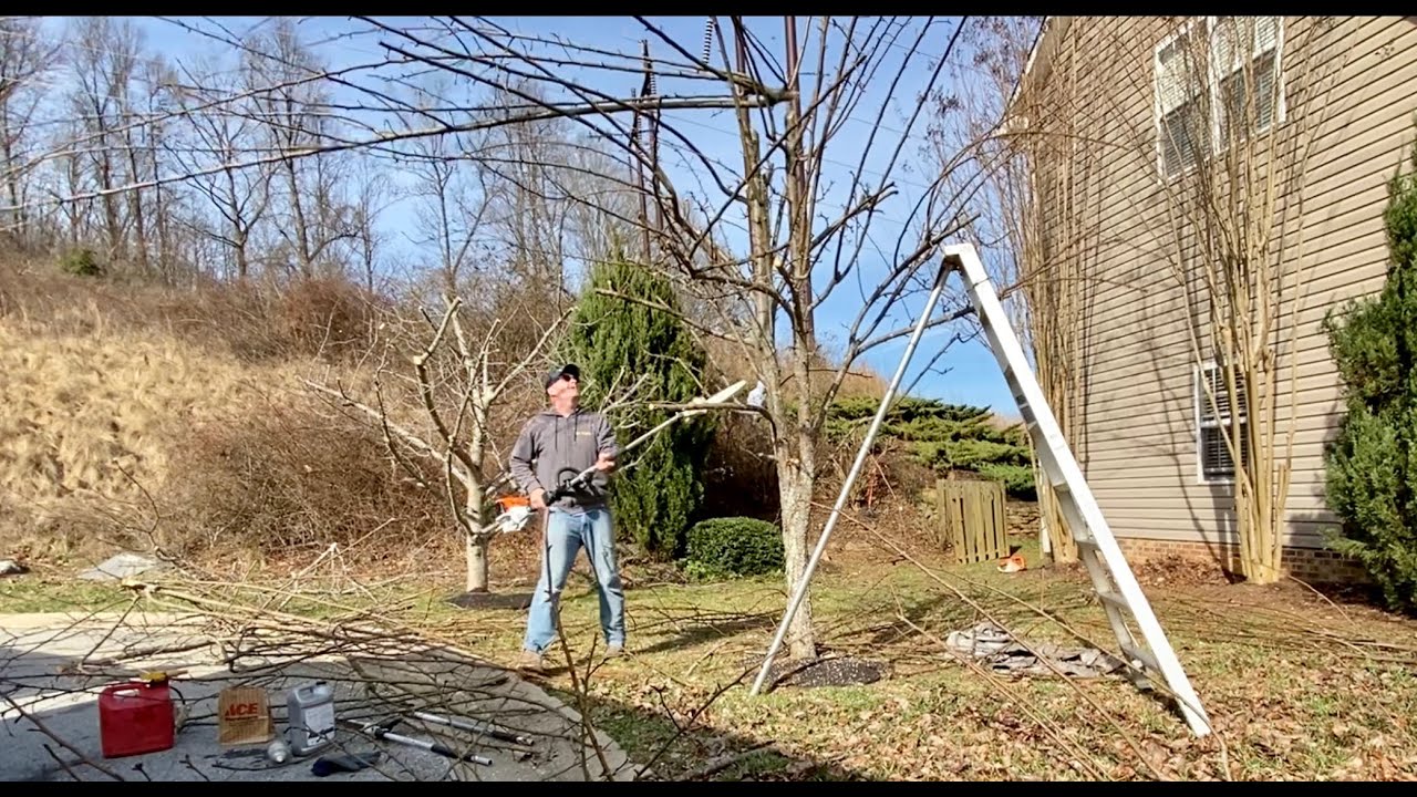 Start of our first big pruning in 2020! - YouTube