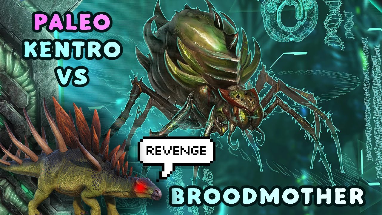 Ark Ascended - Paleo kentrosaurus vs broodmother - YouTube
