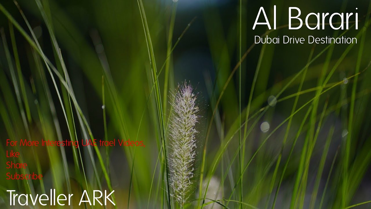 AL BARARI - Explore the secret green heart of dubai - YouTube