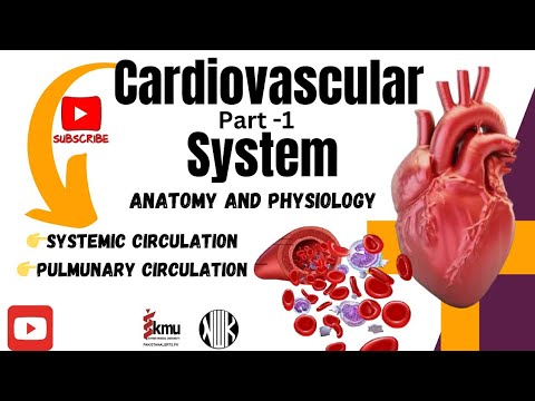 Anatomy and physiology of Cardio- vascular system BSN Semester Ist ...
