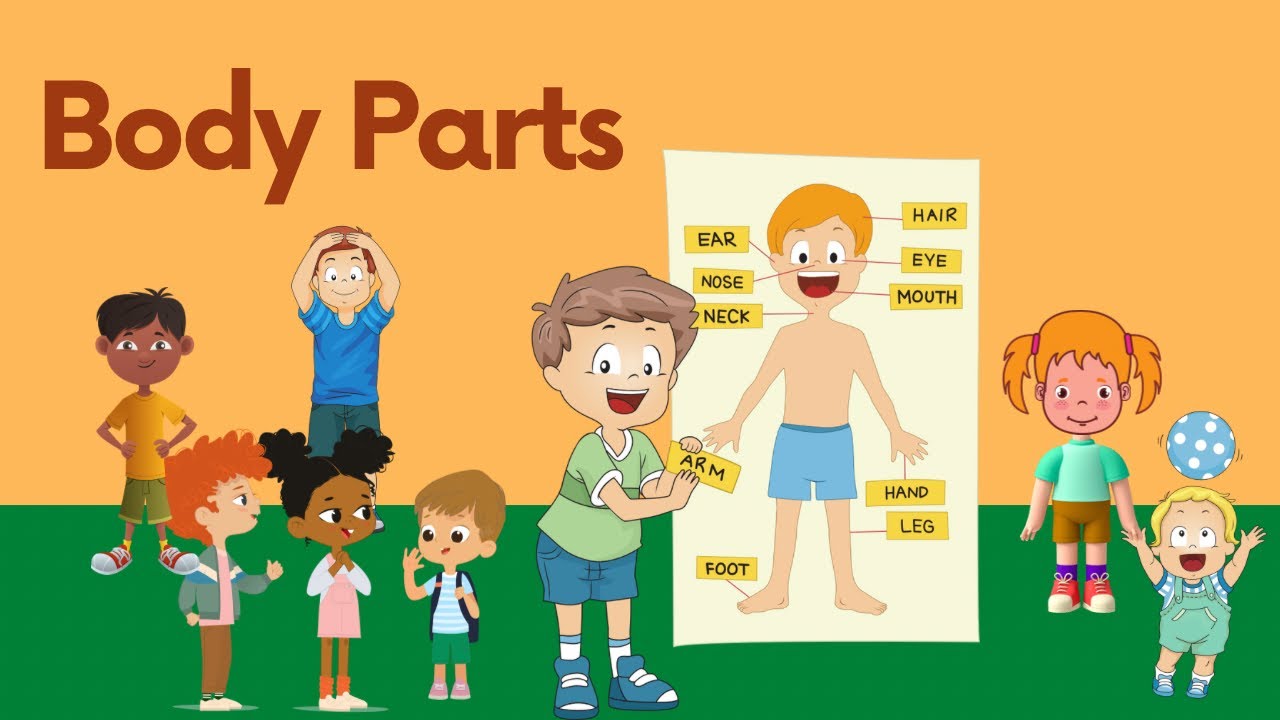 Learning Body Parts | Parts of the Body | Educational Video for Kids ...