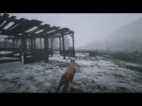 VIREI UM CERVO,RED DEAD harrietum