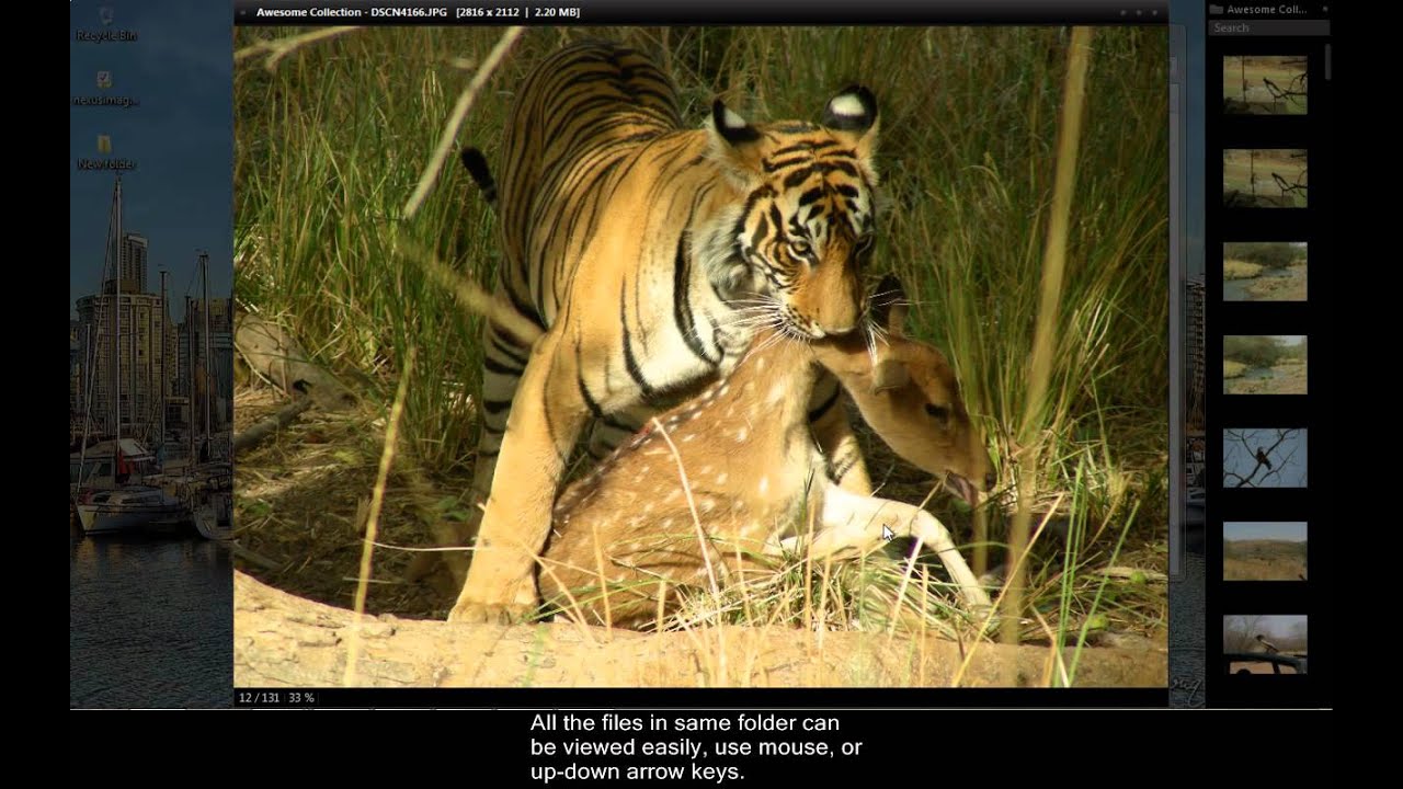 Nexus Image : Full featured Image Viewer with minimal UI - YouTube