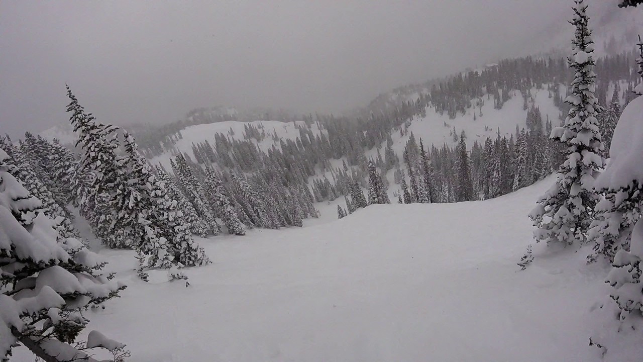 Snowbird Utah powder day snowboarding - YouTube