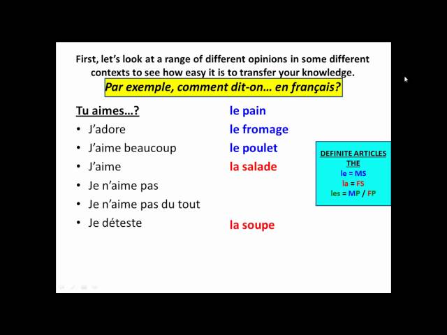 French opinions - present tense (beginner) (Professor Gold Star)