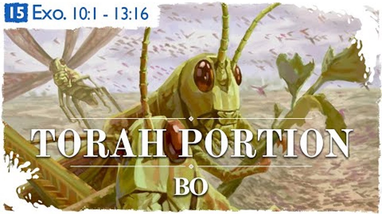Torah Portion Bo - The Final Plagues and Release of the Israelites ...