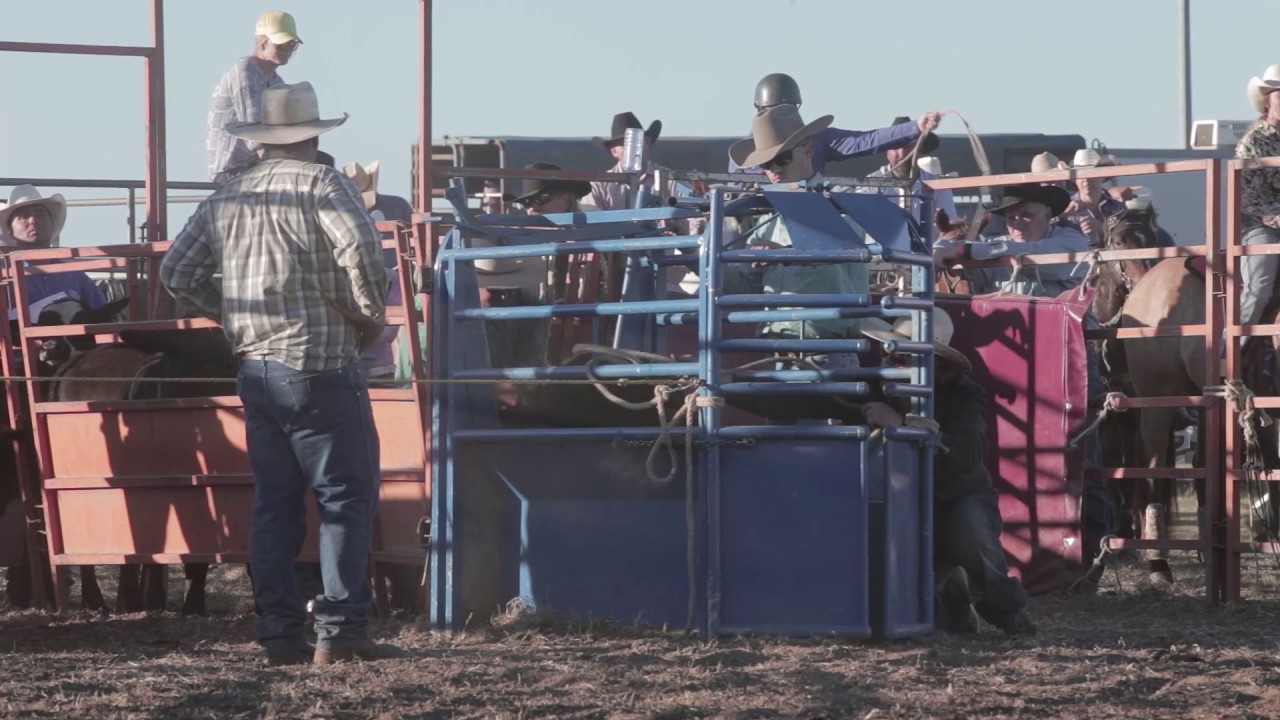 Tail pulling of calf, Lowood Rodeo, Queensland, 29/04/2017 - YouTube