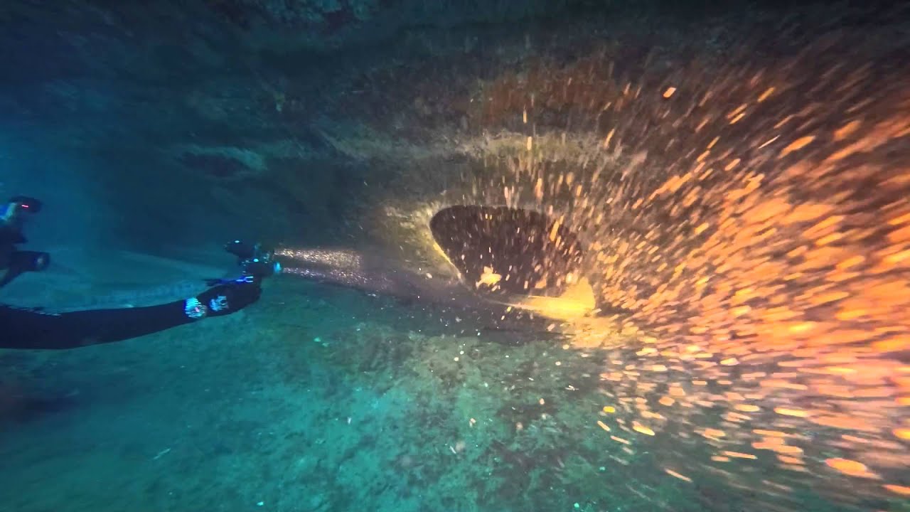 HMAS Swan Dive Part 1 of 2 - YouTube