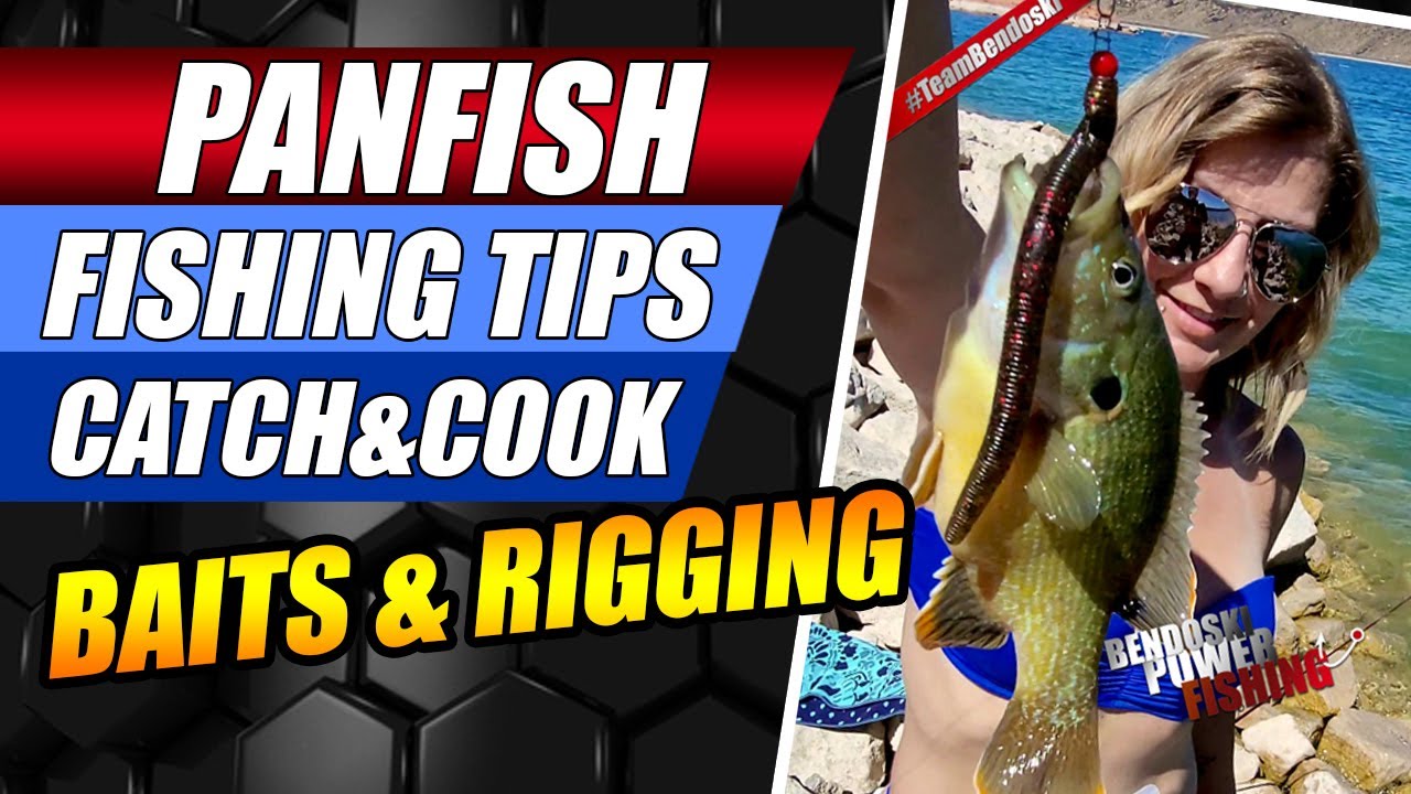 Panfish Fishing Tips Catch and Cook Downsize your hooks - Panfish ...