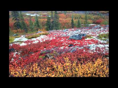 Canol Road, Yukon, Art, Paintings, & Photography - Part 1 - YouTube