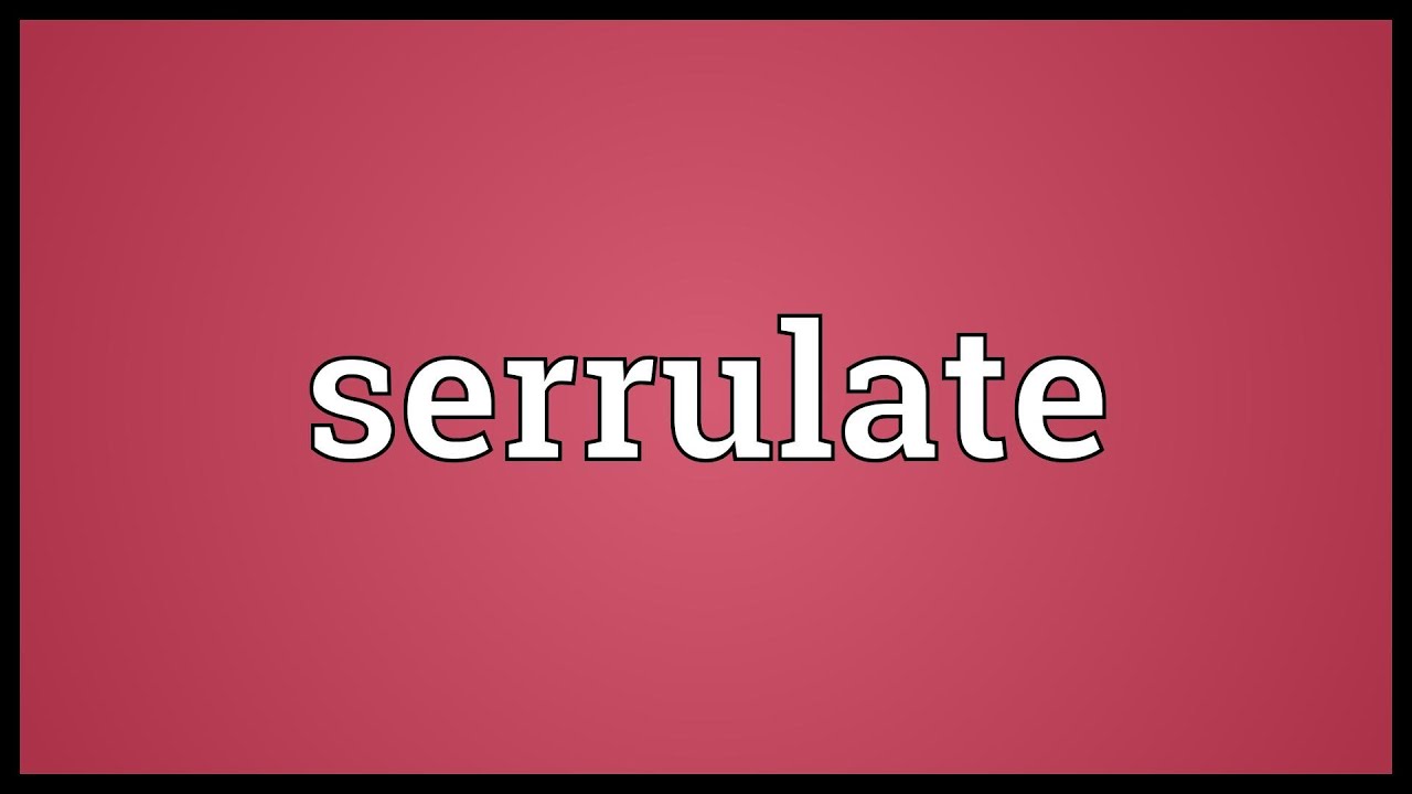 Serrulate Meaning - YouTube