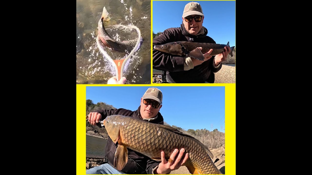 WOLF CREEK DAM below Lake Cumberland-STURGEON, TROUT, MORE! - YouTube