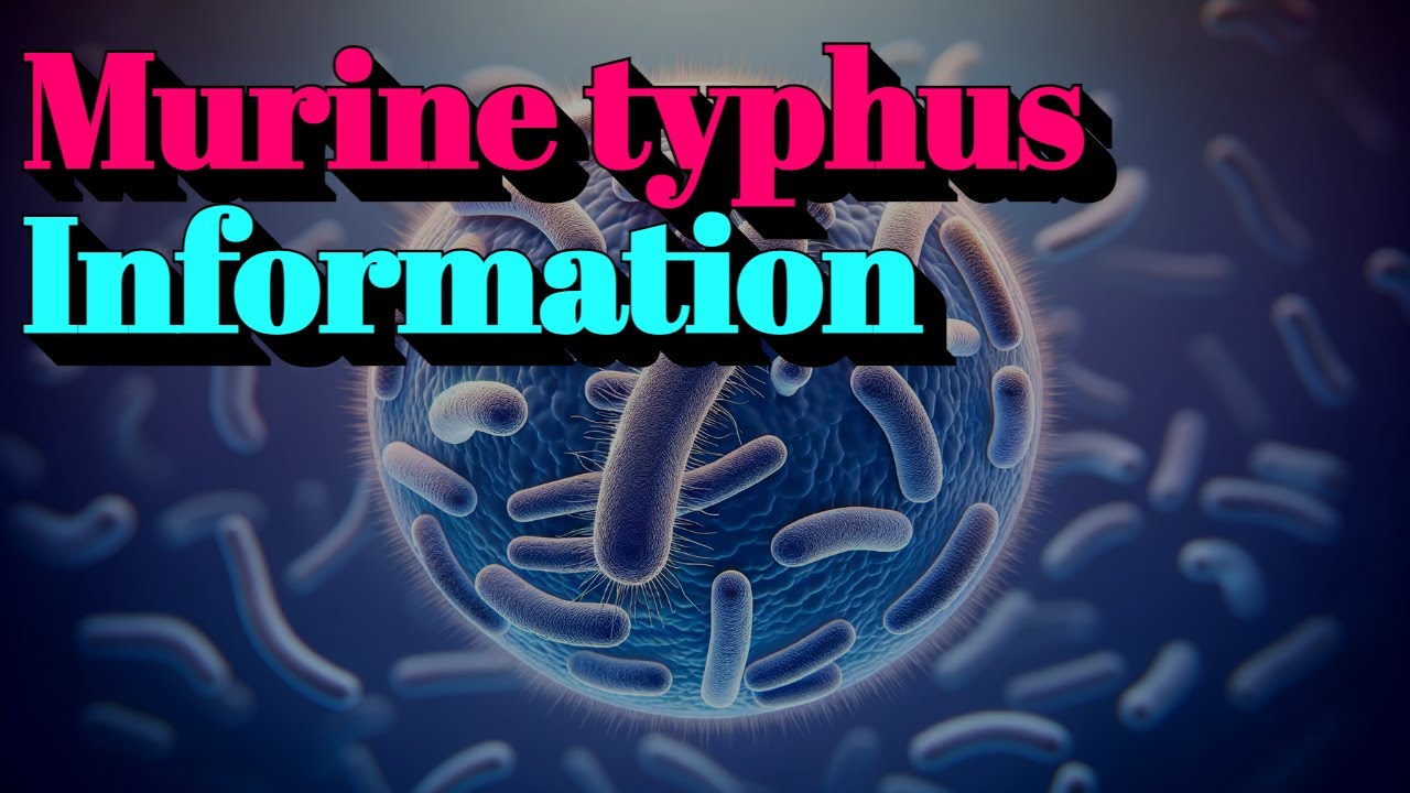 Murine typhus Information (🔬Tier.3 Infectious Disease) - YouTube