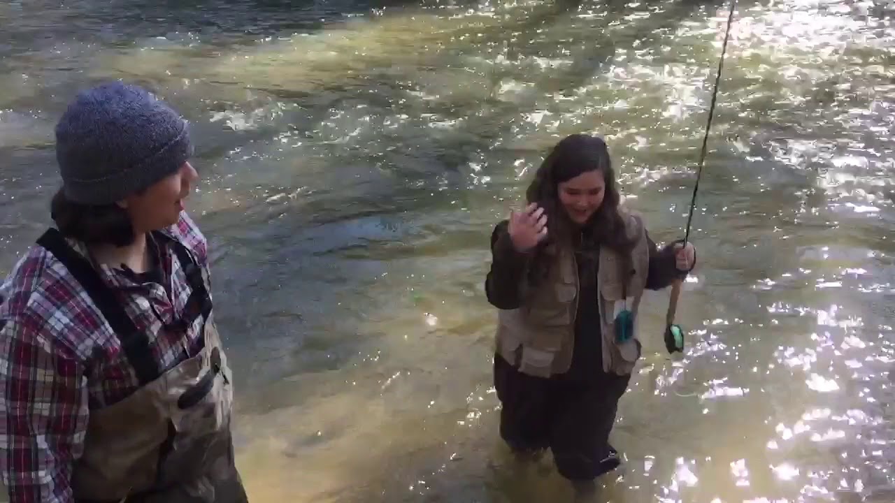 Soque River Rainbow Trout - YouTube