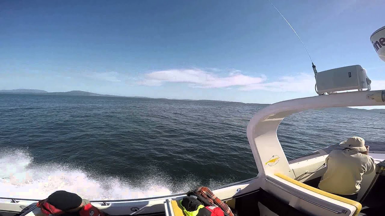 Eagle Wing Tours Speedboat ride - YouTube