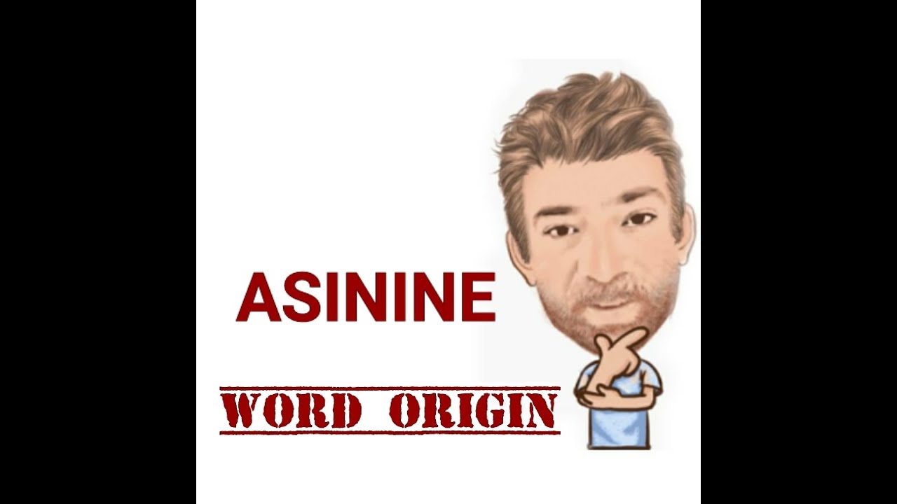 Why Do We Say Someone is Asinine? - Word Origins (463) Asinine -Two ...