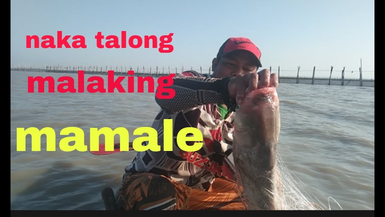 Buti naka tatlong malaking mamale - YouTube
