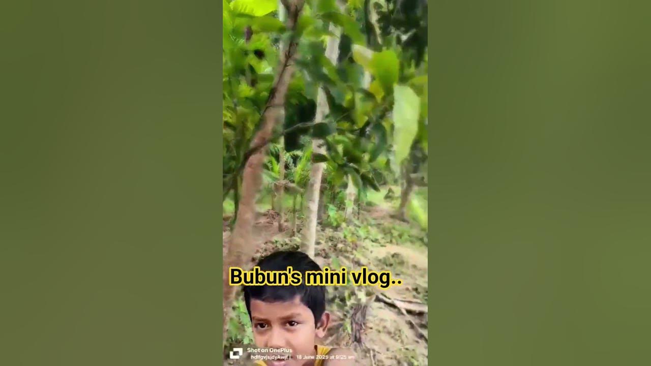 Our li'l boy Bubun's mini vlog.. #ytshorts #viral #youtubeshorts - YouTube