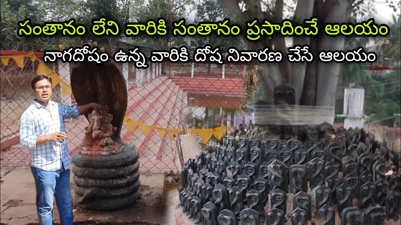 Naga Devatha Temple Hyderabad || Latest Rules,Timings All Details ...