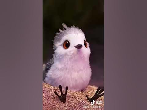 piper short film by disney pixar - YouTube